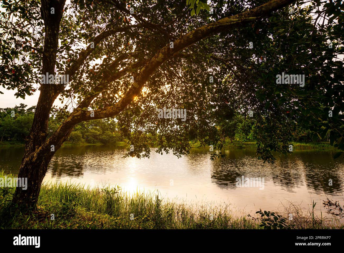 Top view river cruise hi-res stock photography and images - Alamy