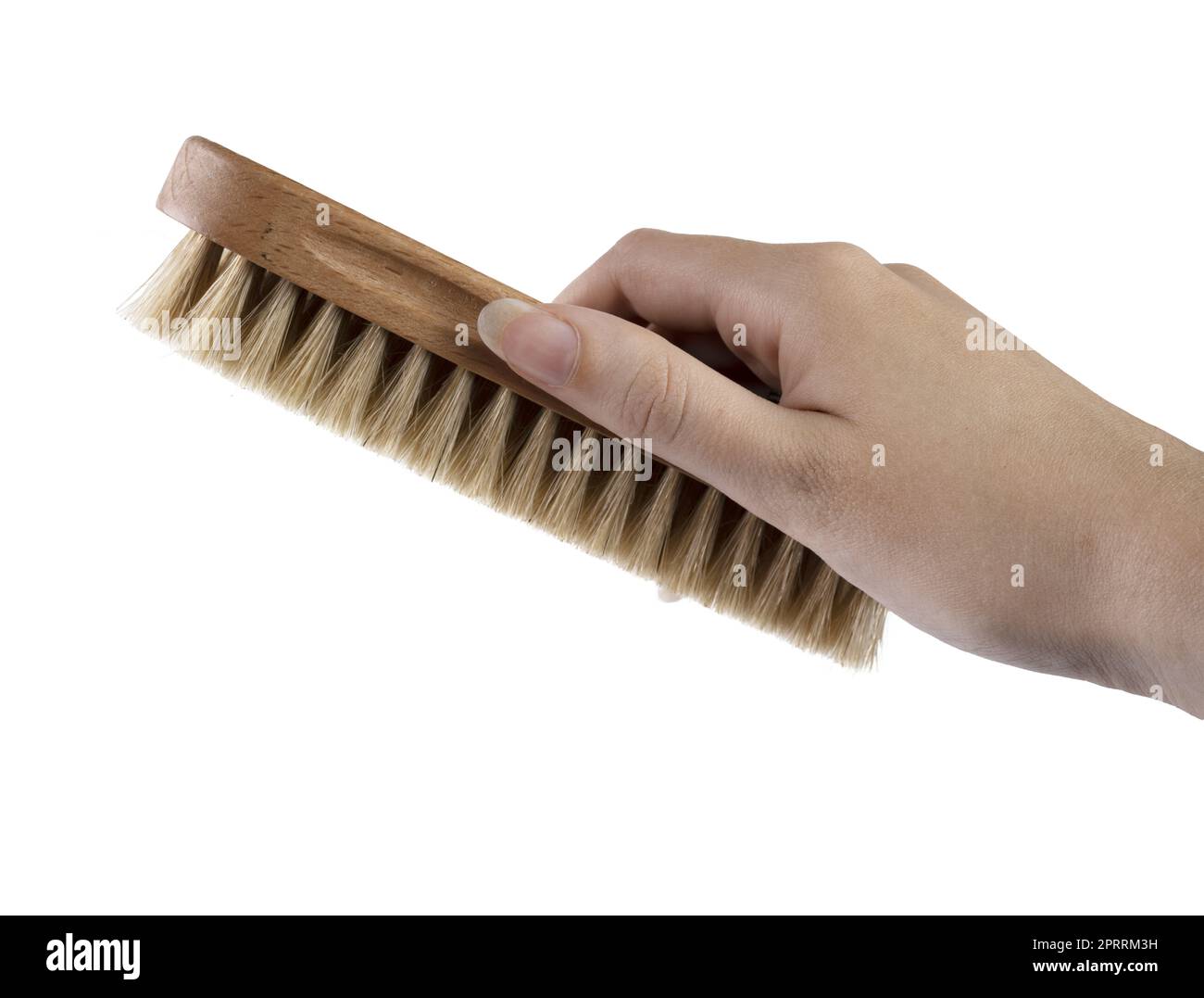 a clothes brush in the female hand on a transparent background Stock ...