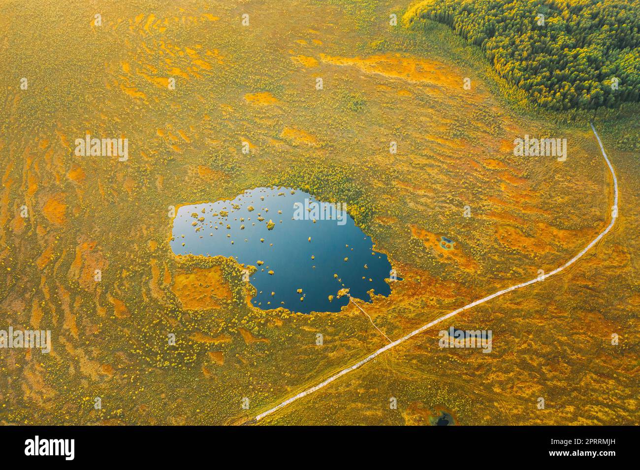 Miory District, Vitebsk Region, Belarus. The Yelnya Swamp. Aerial View ...