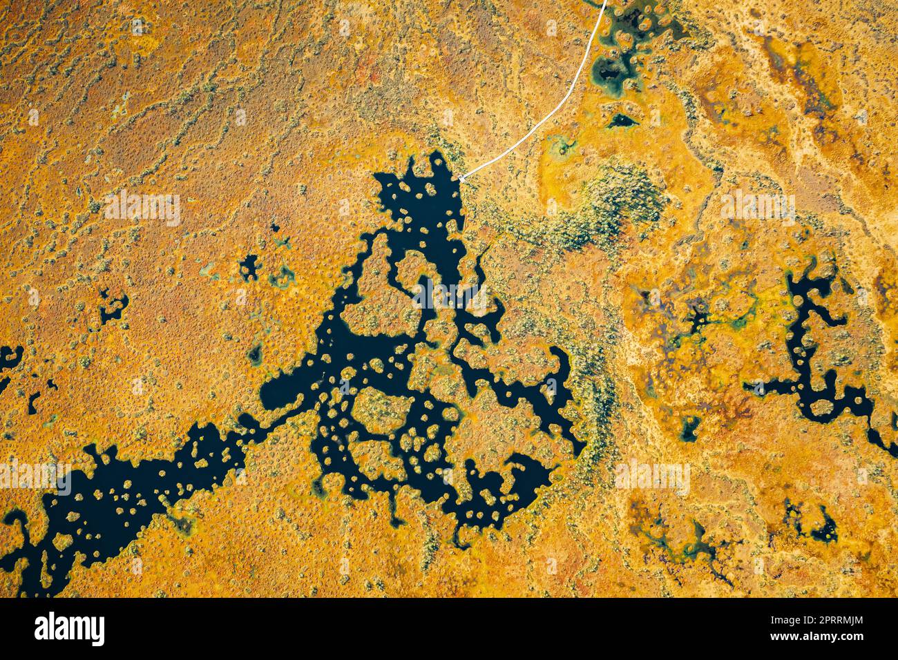 Miory District, Vitebsk Region, Belarus. Yelnya Swamp. Aerial View Of ...