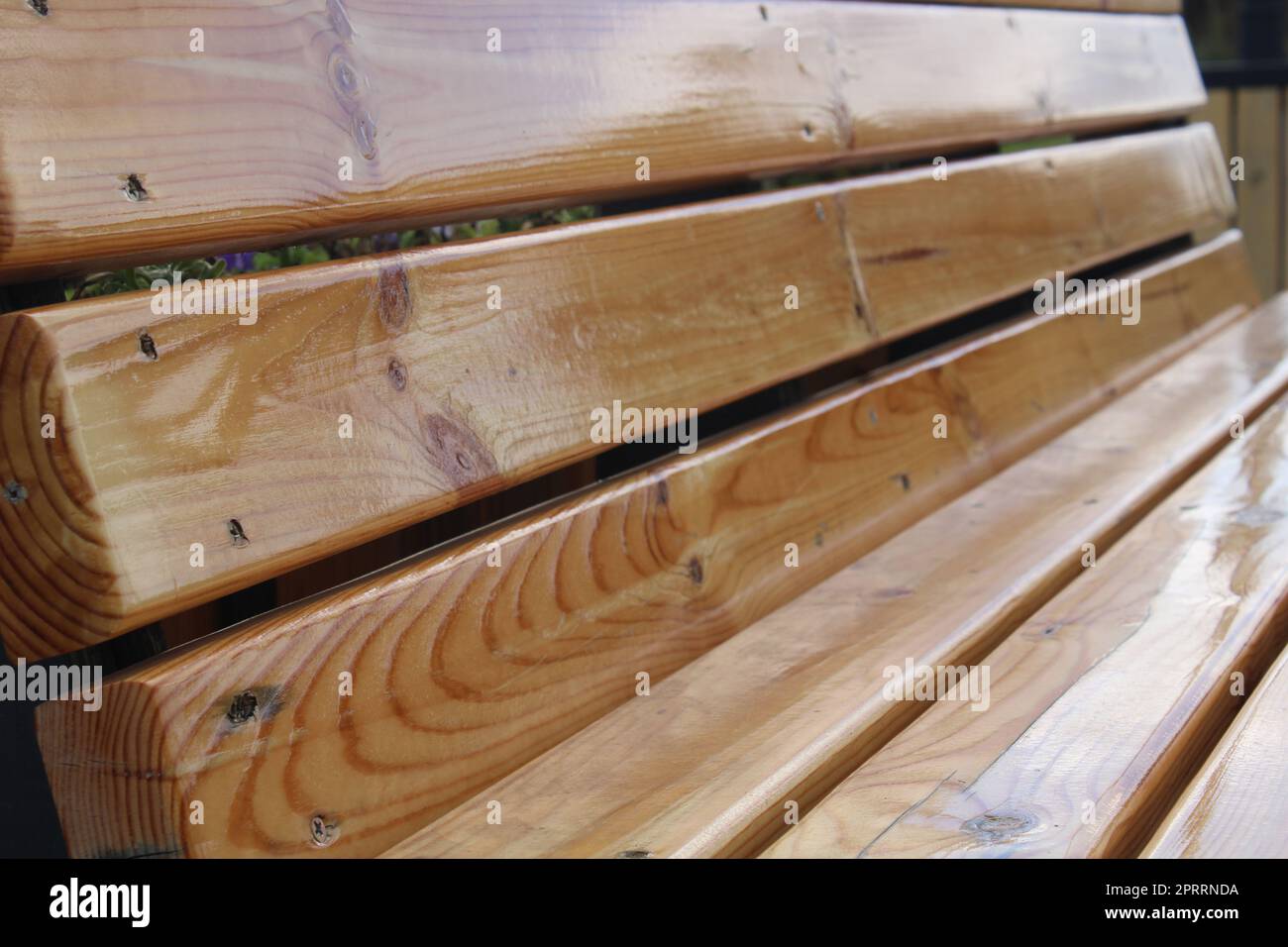 Light wooden bench in the city park close-up. Urban architecture Stock ...