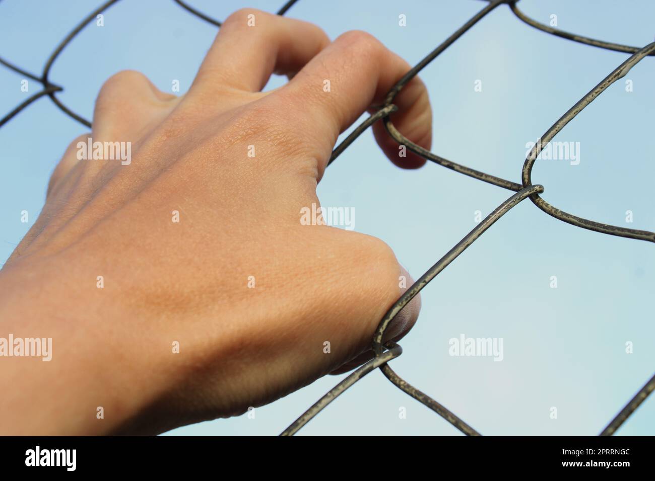 Close-up woman's hand holding on to the bars of a metal mesh Stock ...