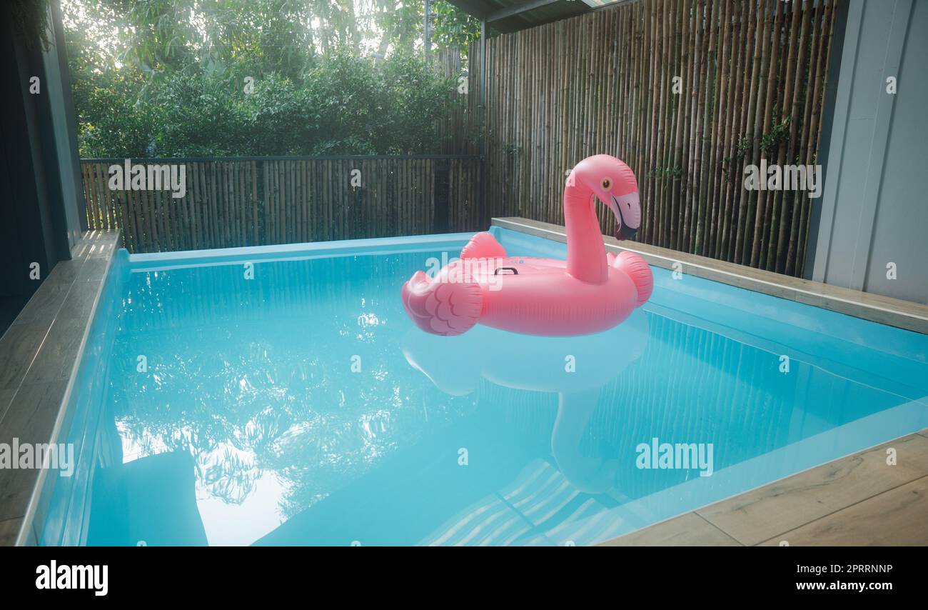 Pink inflatable ring flamingo plastic in the swimming pool blue water ...