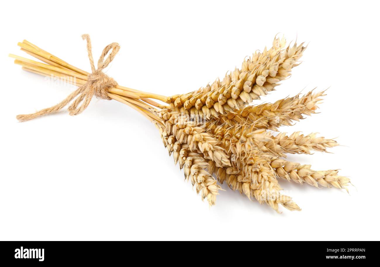 Dried wheat bunch Cut Out Stock Images & Pictures - Alamy