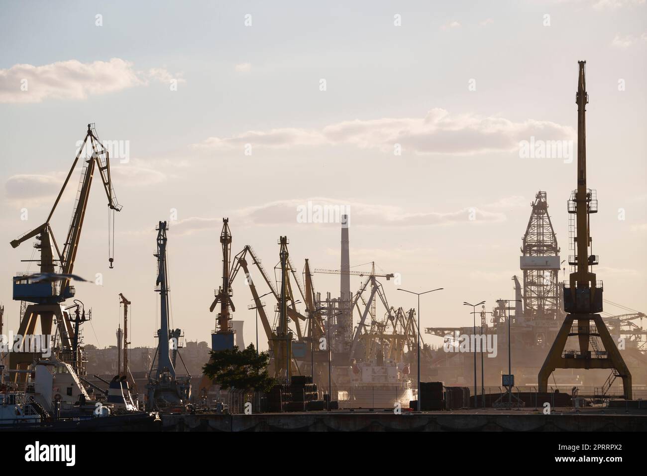 Container terminal, with cranes, in a commercial port Stock Photo - Alamy