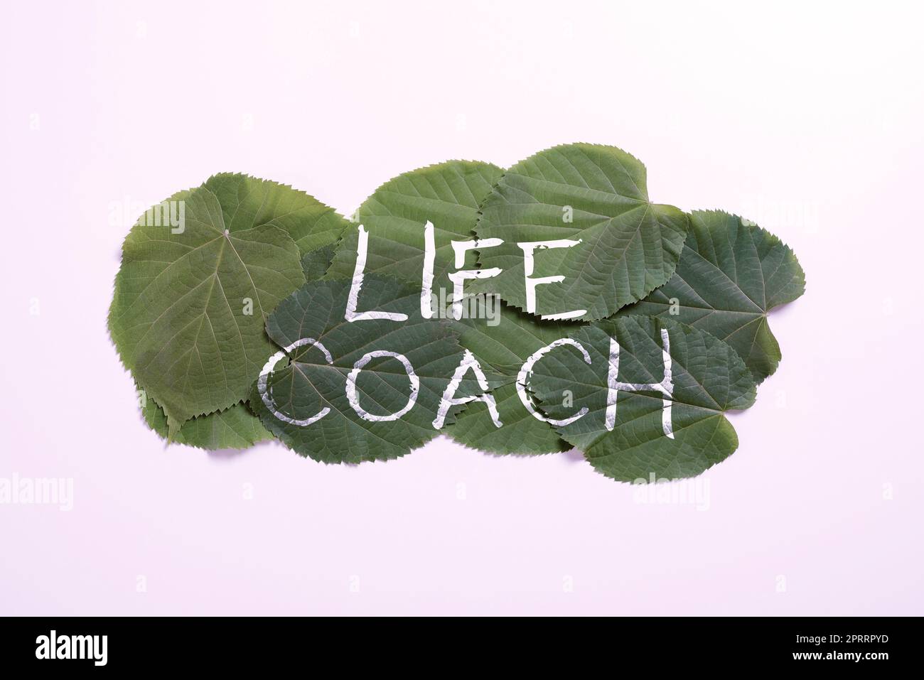 Conceptual caption Code Of Conduct. Conceptual photo A person who ... Conceptual caption Code Of Conduct. Conceptual photo A person who ...