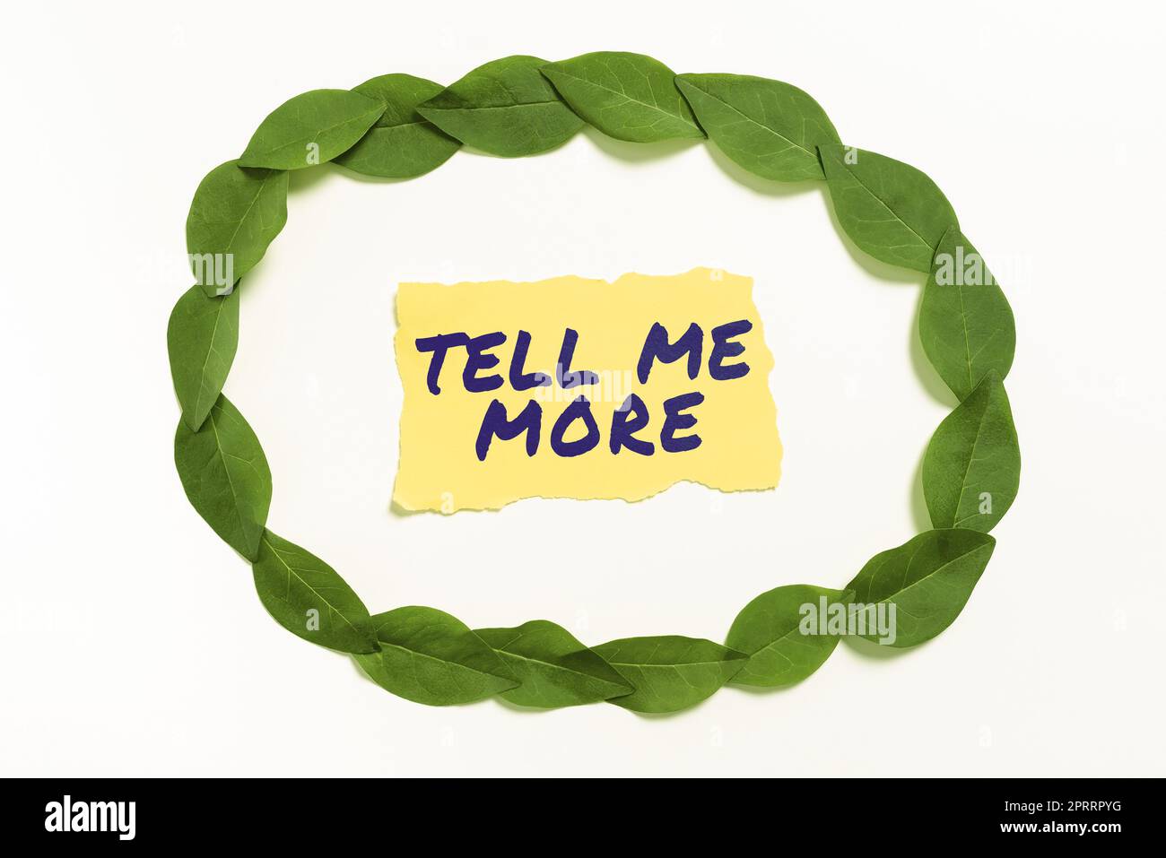 Text caption presenting Tell Me More. Business overview A call to start ...