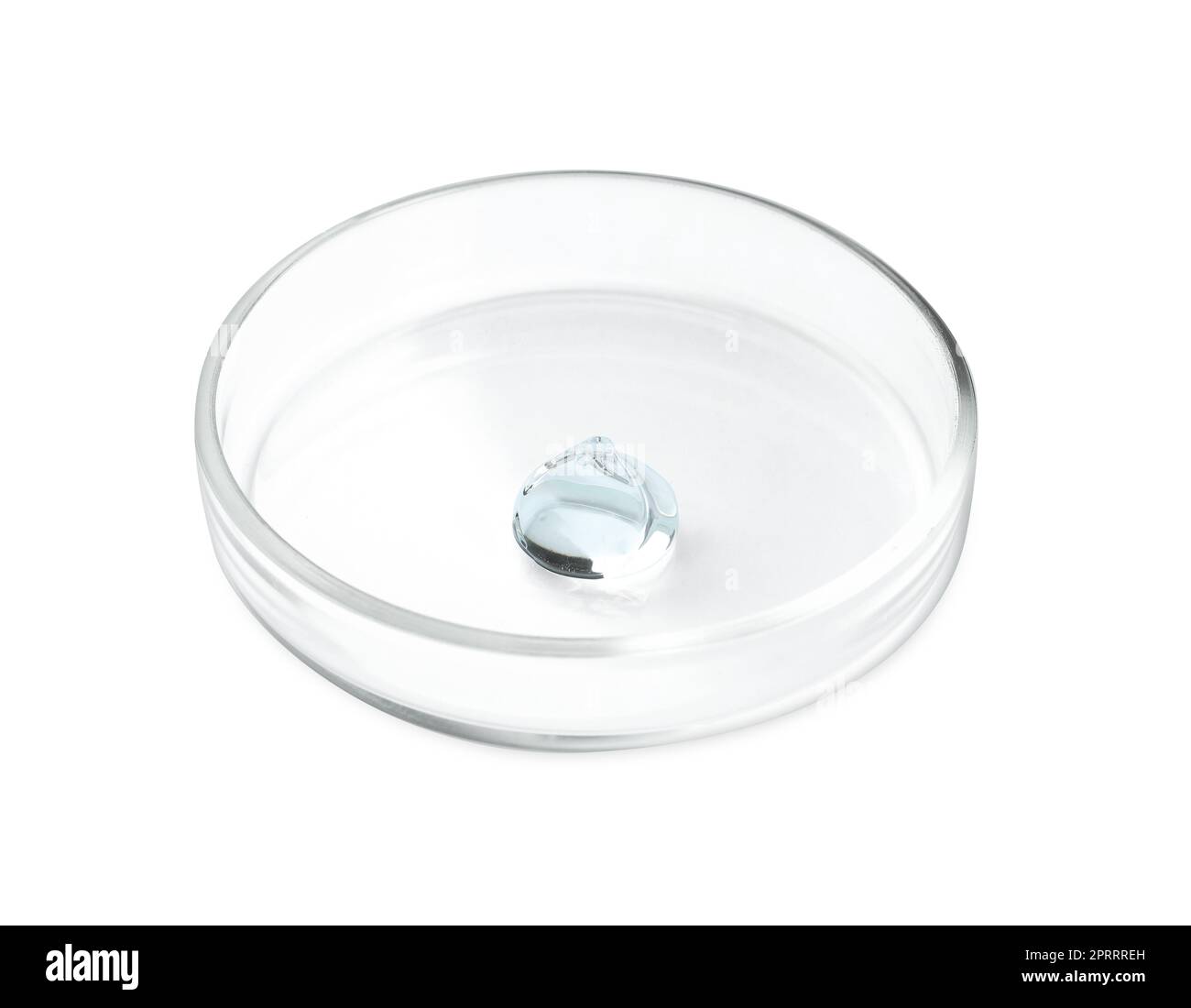 Petri dish with liquid isolated on white Stock Photo - Alamy