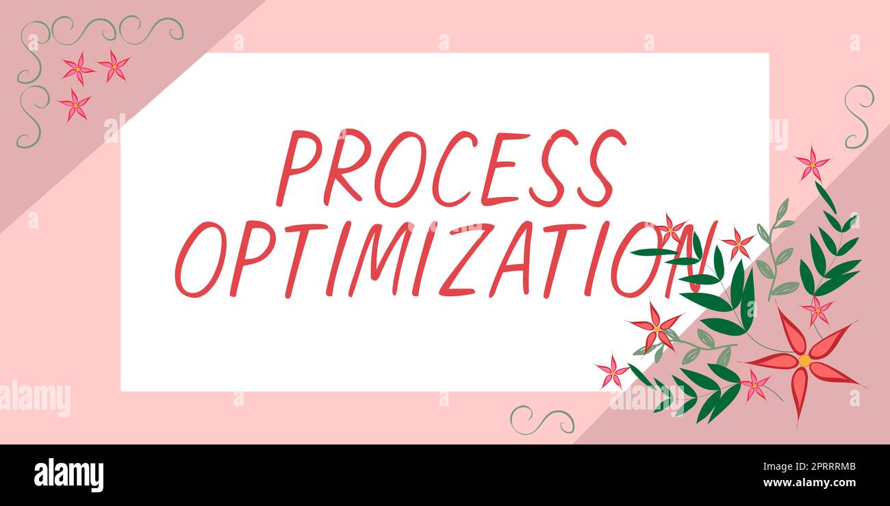 Conceptual display Process Optimization. Business overview Improve ...