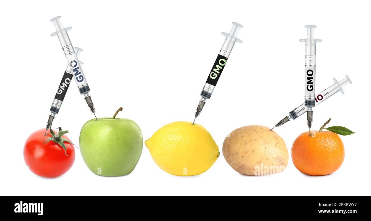 Syringes With Labels Gmo In Different Fruits And Vegetables On White