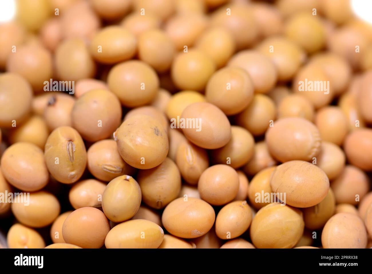 Chinese yellow soybeans in a closeup Stock Photo - Alamy