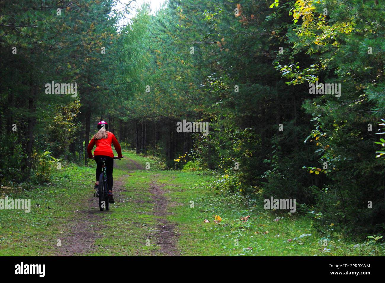 A girl in sportswear and a helmet rides a bicycle through the forest ...