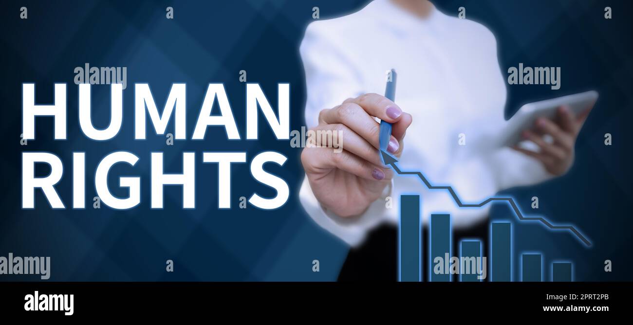 Sign displaying Human Rights, Internet Concept Moral Principles ...