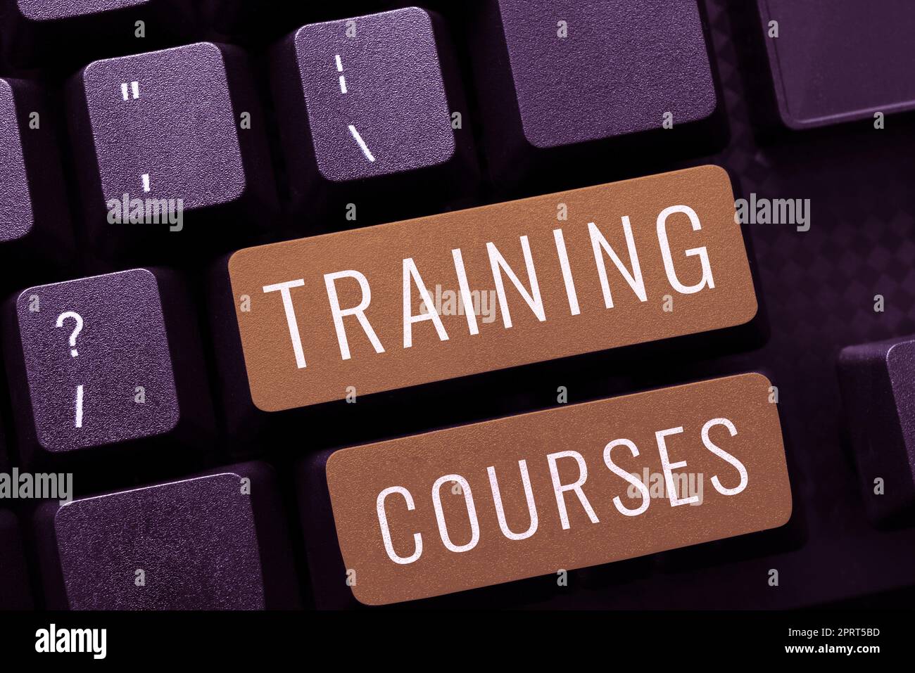 Text caption presenting Training Courses, Internet Concept graduate ...
