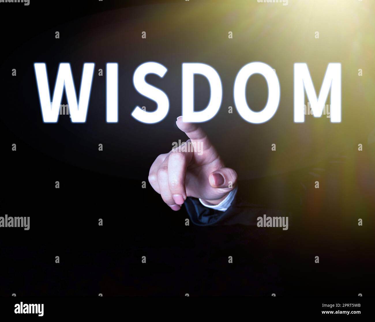 Sign displaying Wisdom, Business showcase body of knowledge and ...