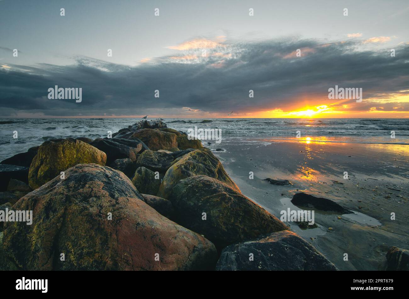 Sunset on the beach in Denmark. Stone groyne in the foreground. Walk on ...