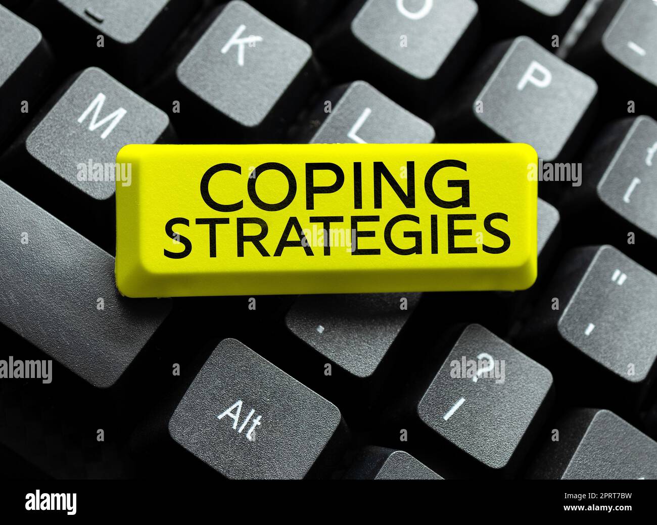 Conceptual display Coping Strategies, Conceptual photo general plan or ...