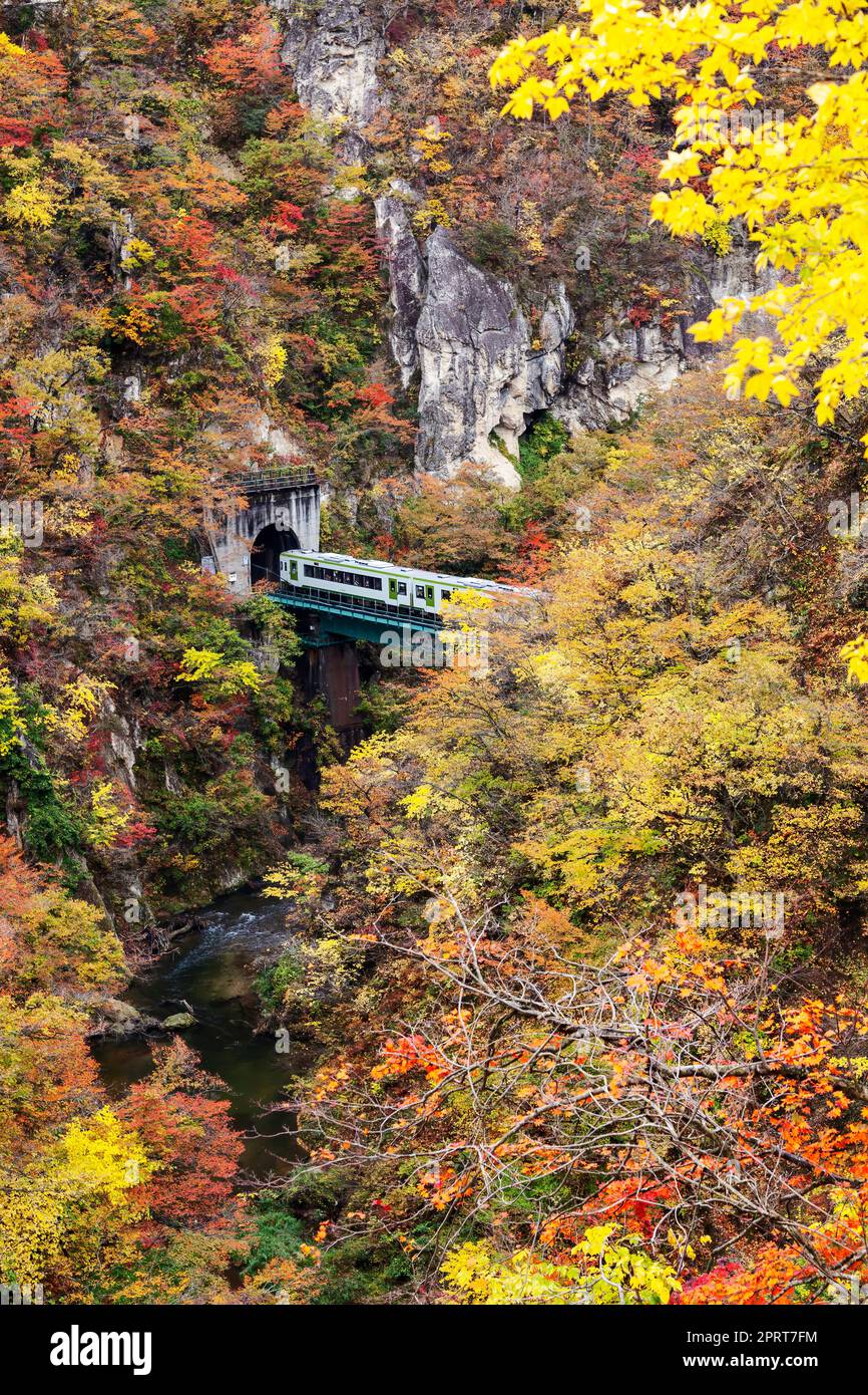 The Nice view autumn foliage at Naruko Gorge Japan Stock Photo - Alamy