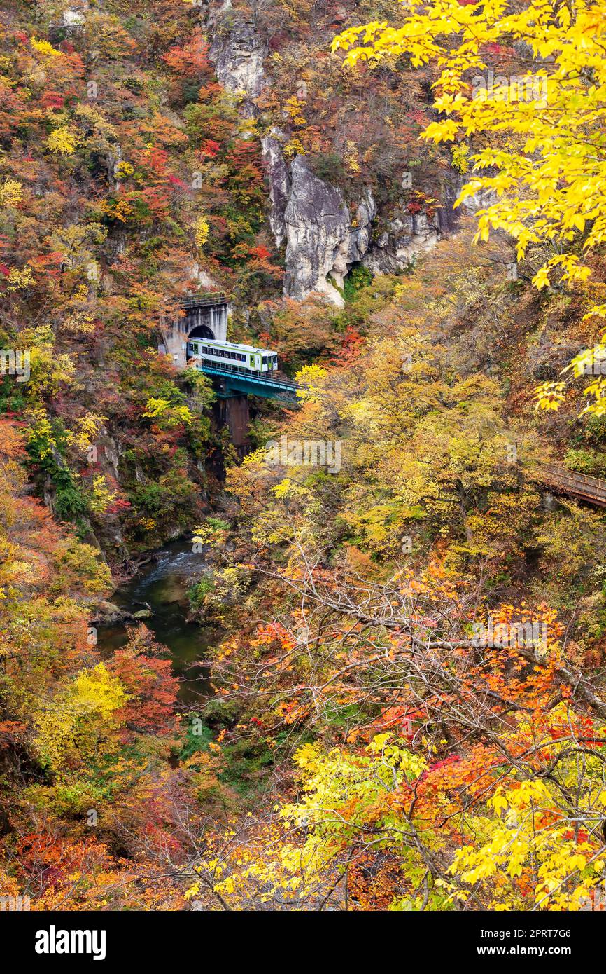 The Nice view autumn foliage at Naruko Gorge Japan Stock Photo - Alamy