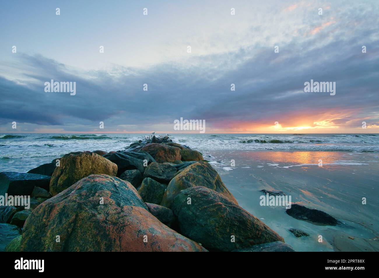 Sunset on the beach in Denmark. Stone groyne in the foreground. Walk on ...
