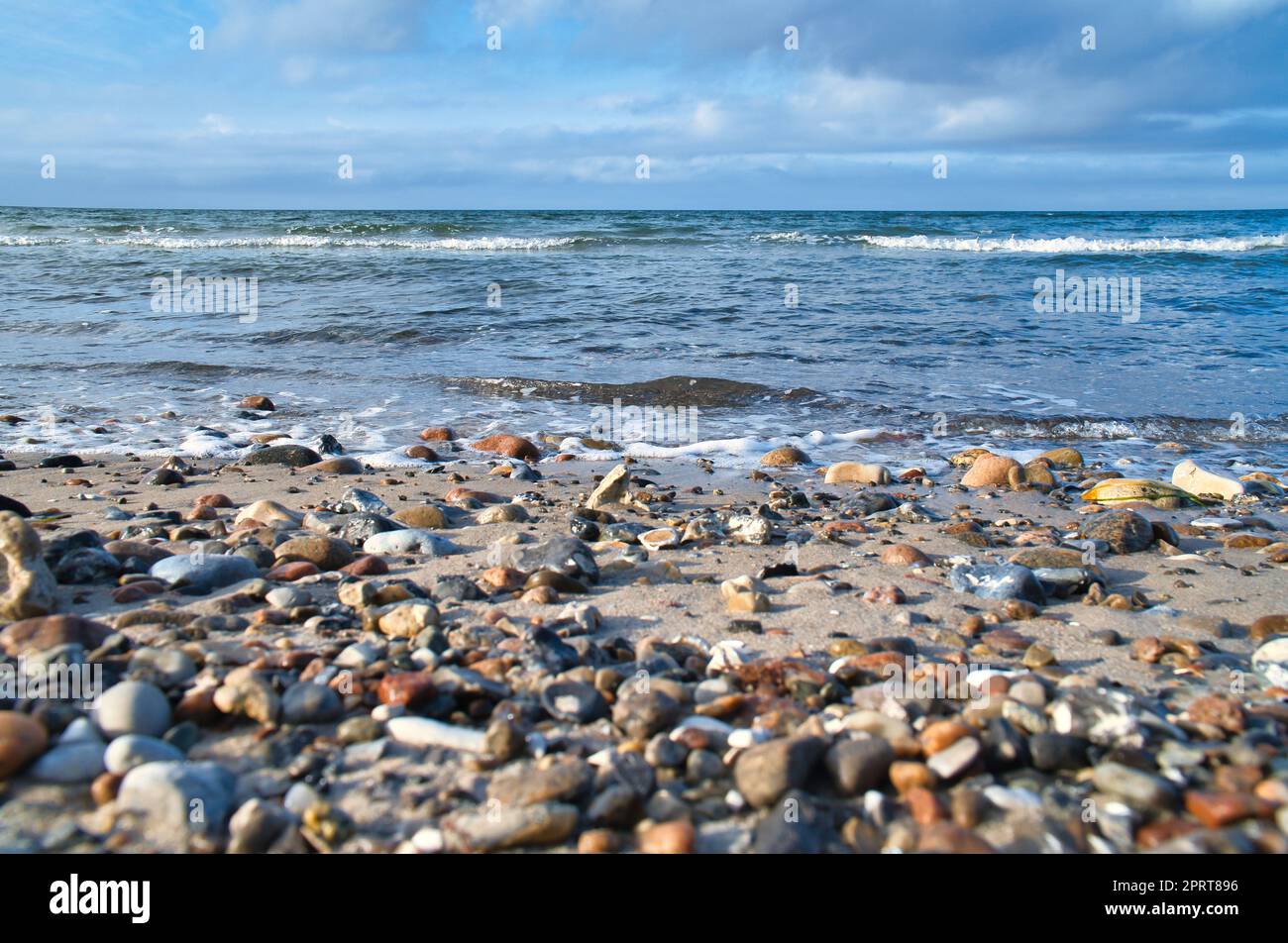 Stone beach on the coast of Denmark. Stones in the sand and in the ...