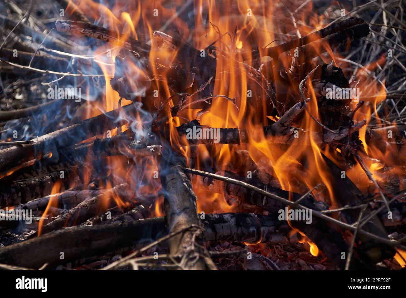 A small wood fire in the field.Out of focus background, grass, small ...