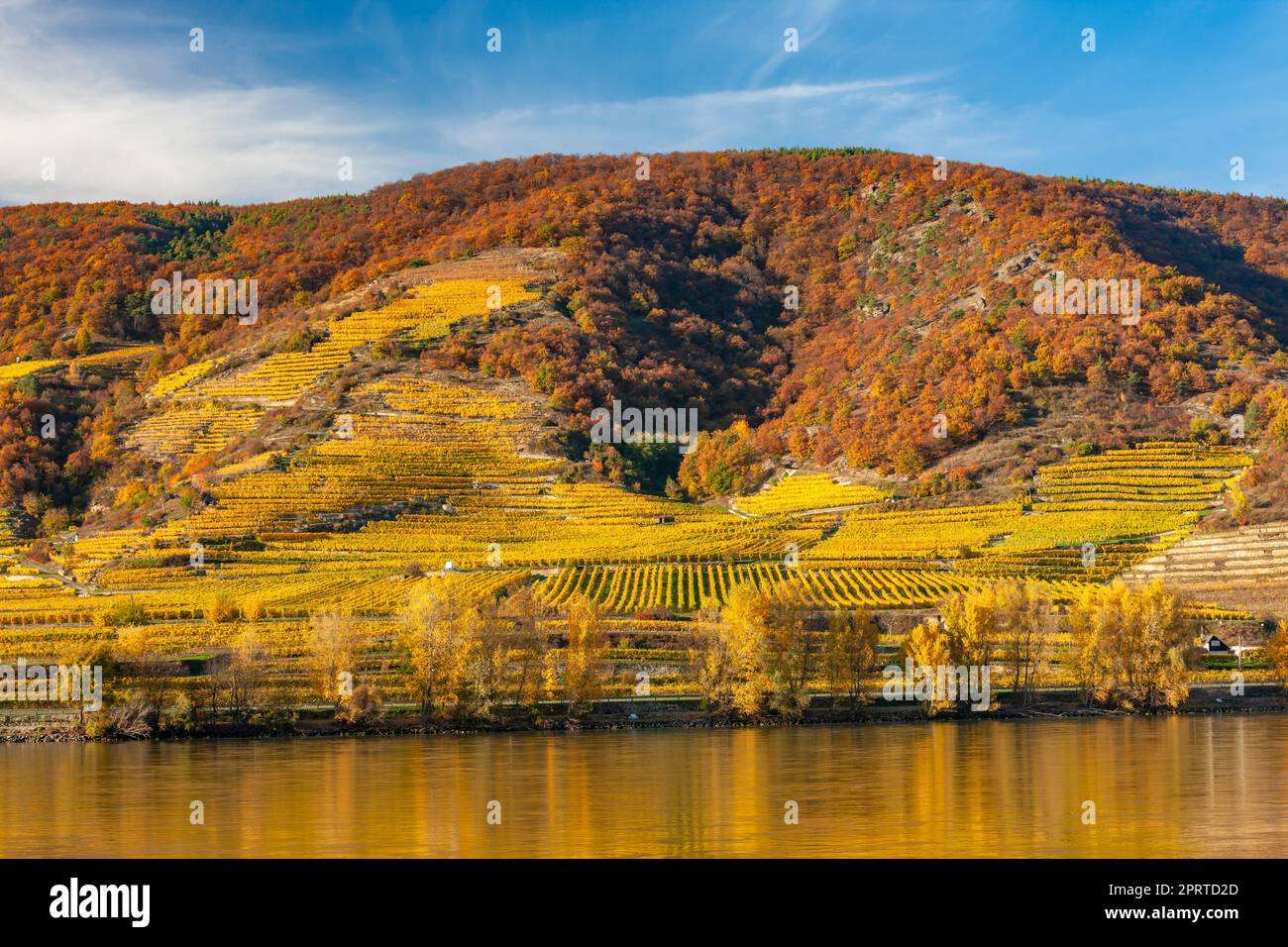 Panorama wachau valley danube hi-res stock photography and images - Alamy