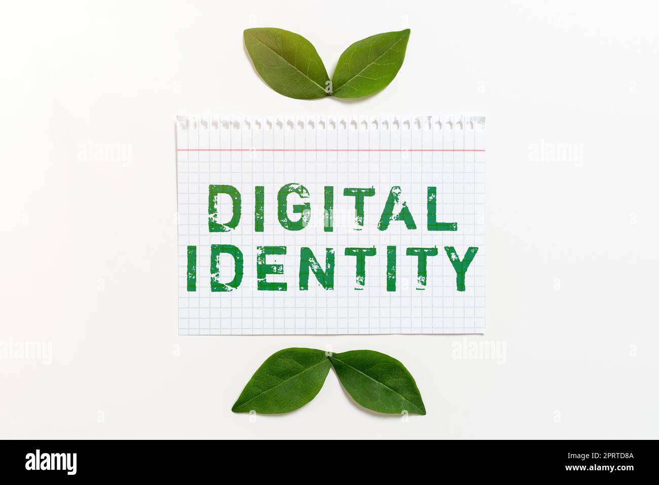 Text showing inspiration Digital Identityinformation on entity used by ...