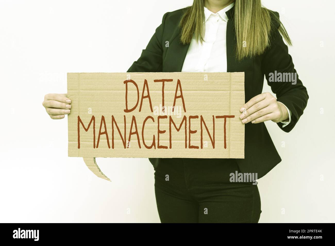 Hand writing sign Data ManagementThe practice of organizing and maintaining data processes ...