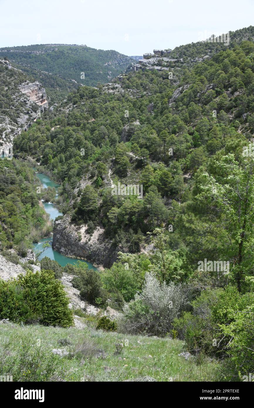 the green landscape, countryside in the province of Cuenca, Spain Stock ...