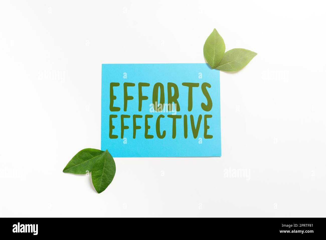 Conceptual display Efforts EffectiveProduces the results as per desired ...