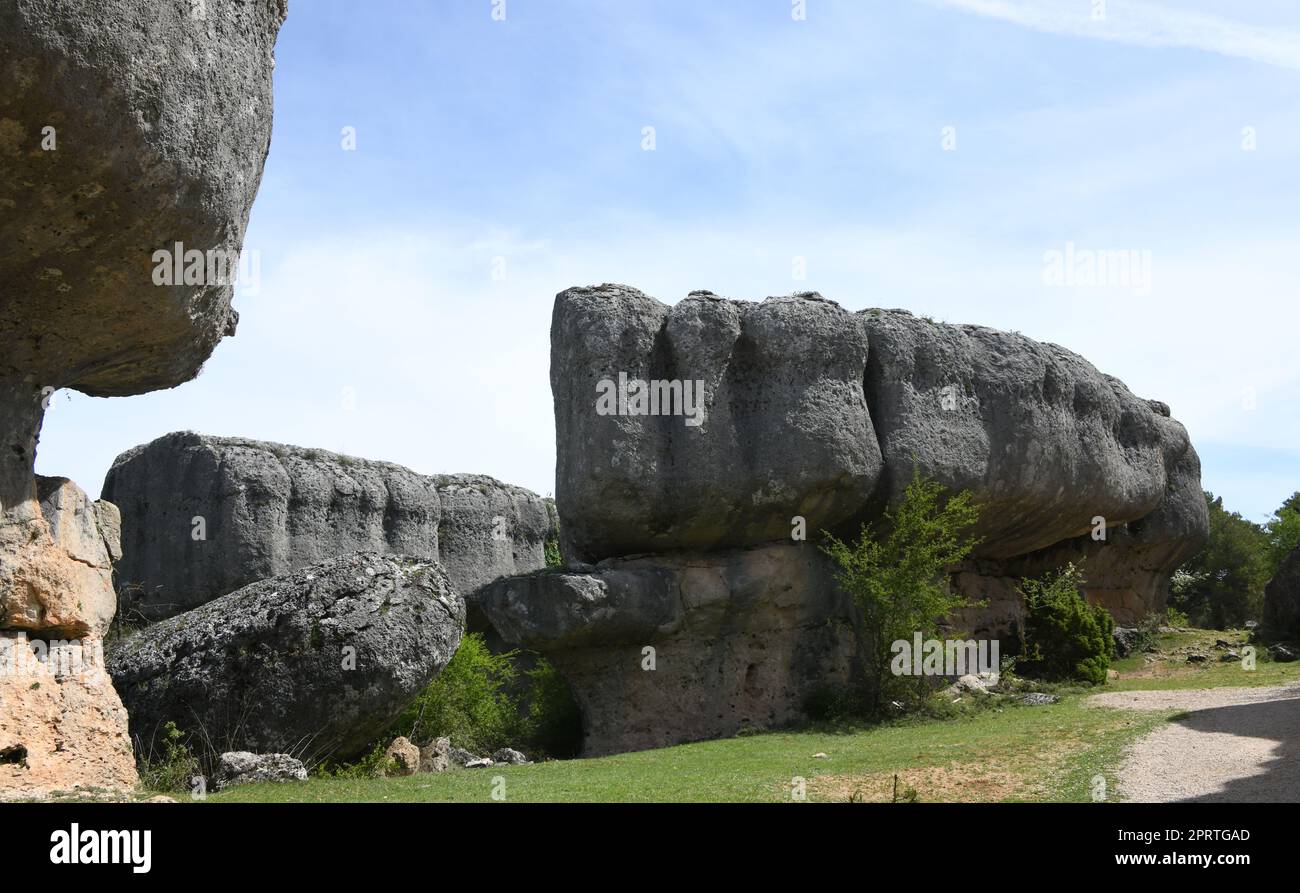 The forest, the trees and the rock formations in the "Ciudad Encantada ...
