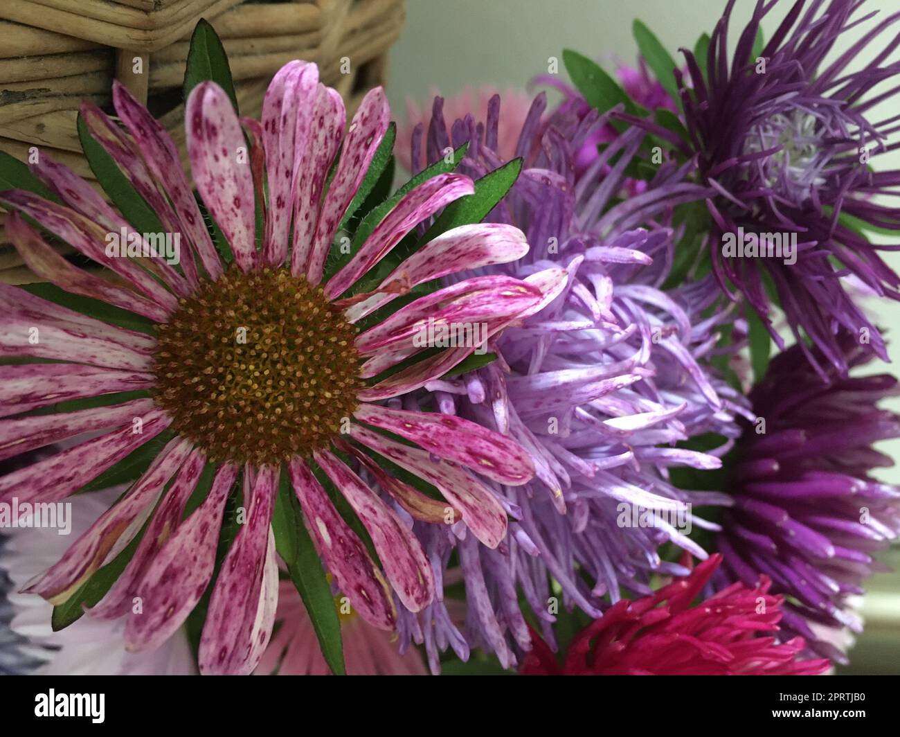 Beautify hi-res stock photography and images - Alamy