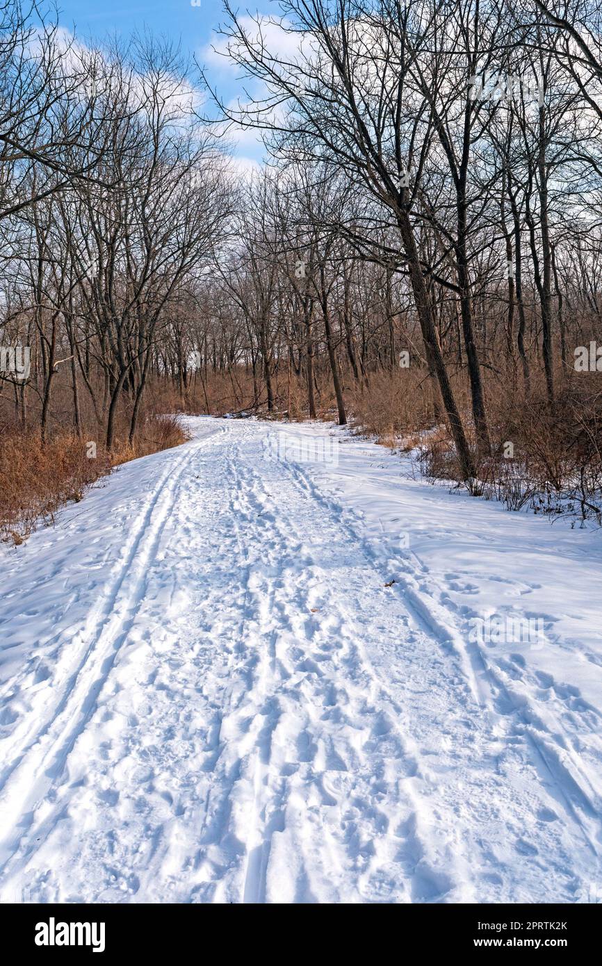 Busy Trail in the Winter Snow Stock Photo - Alamy