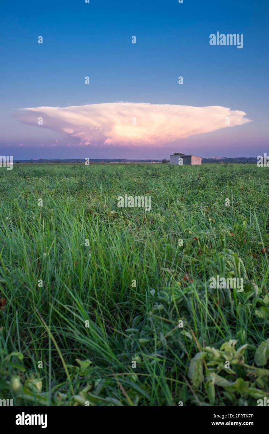 Cumulonimbus capillatus hi-res stock photography and images - Alamy