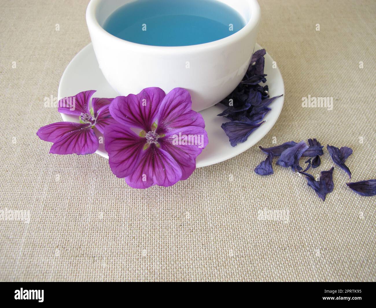 Blue mallow tea, tea from dried mallow flowers Stock Photo - Alamy