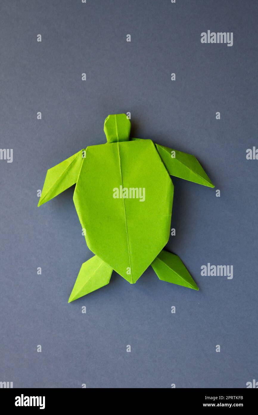 Green paper turtle origami isolated on a grey background Stock Photo ...