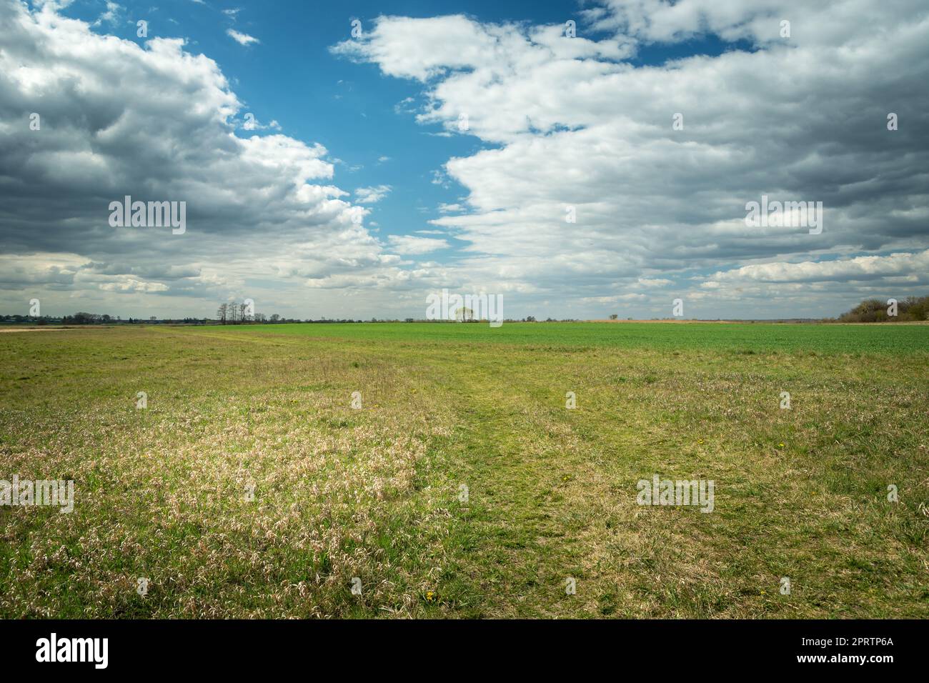 Through the huge hi-res stock photography and images - Alamy