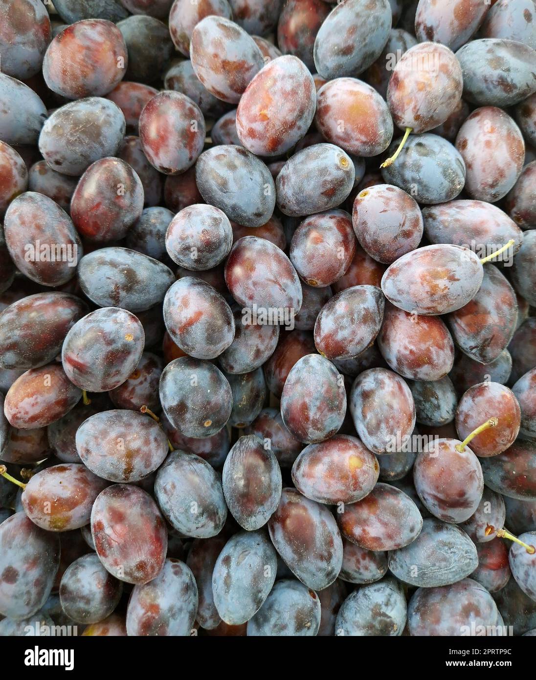 Fresh plum fruit full frame background or texture Stock Photo - Alamy