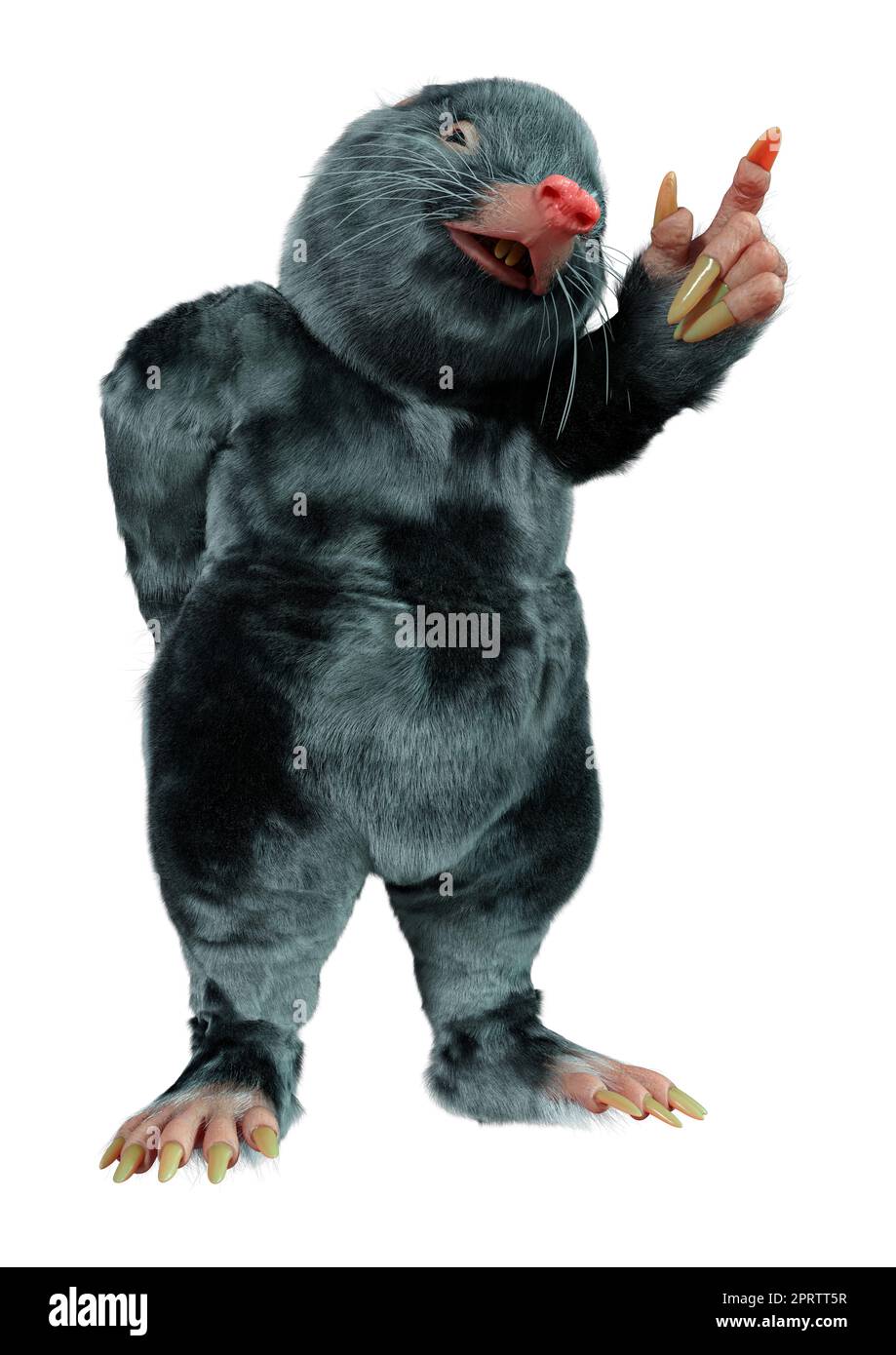 3D rendering of a mole animal isolated on white background Stock Photo ...