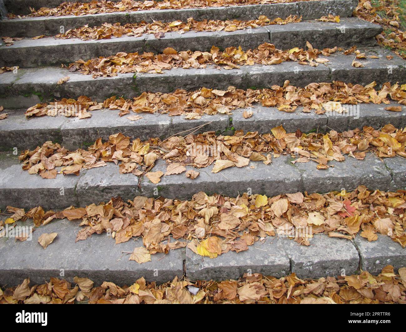Stair treads hi-res stock photography and images - Alamy