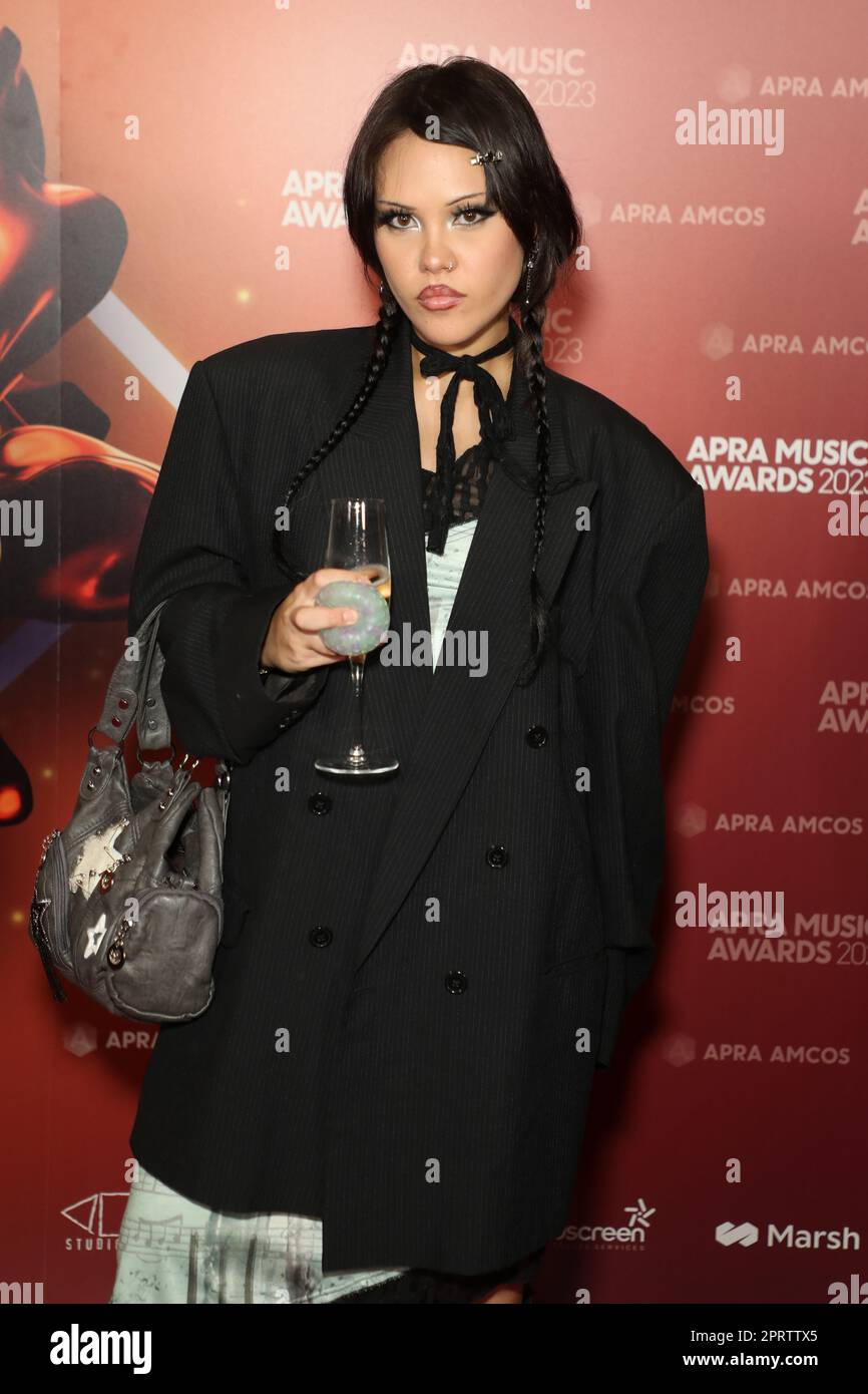 Cat and calmell hi-res stock photography and images - Alamy