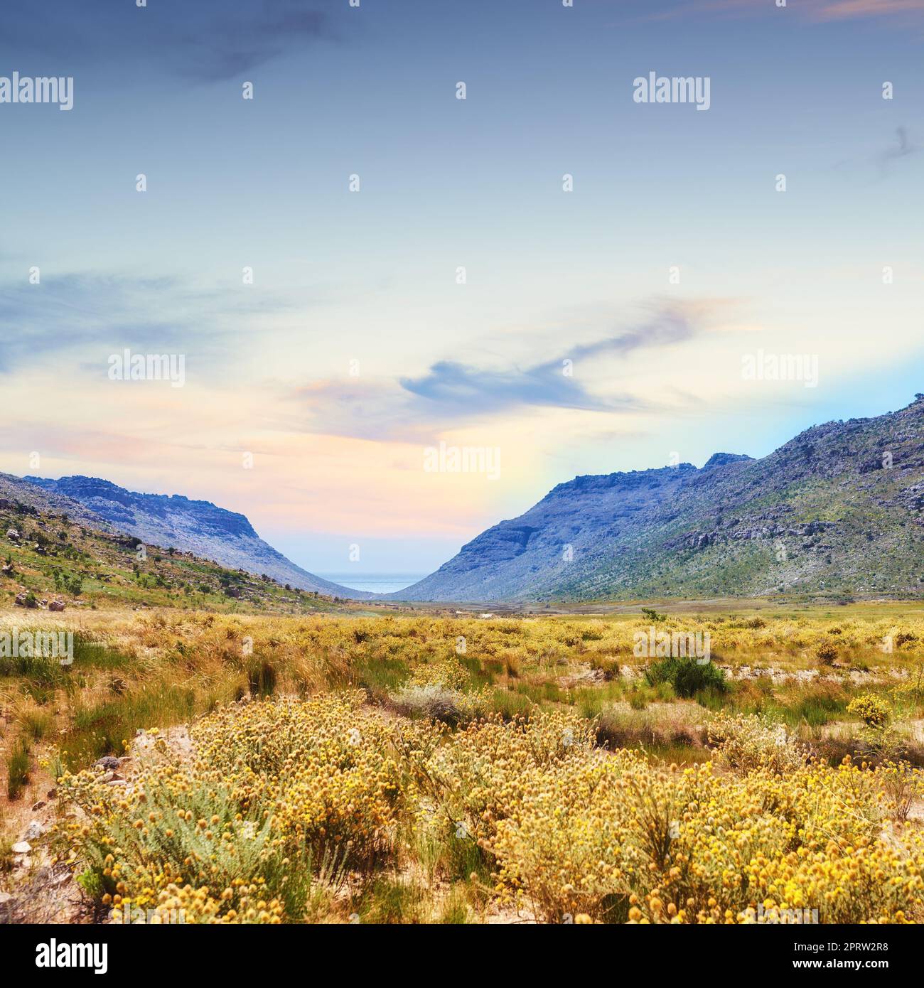 Cedarberg Wilderness Area - South Africa Stock Photo - Alamy