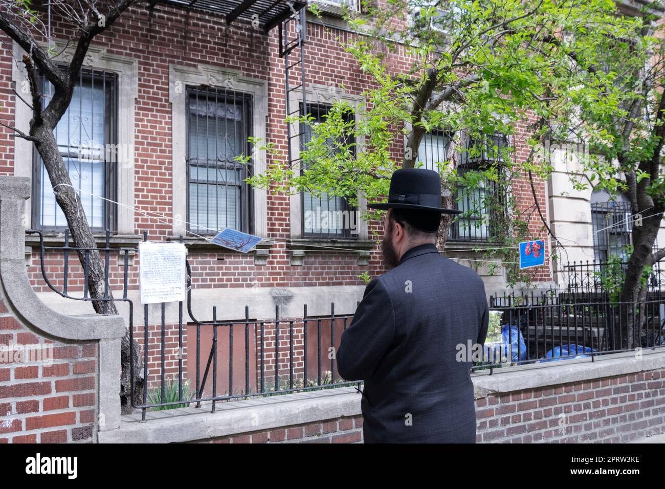 During the Hebrew month of Nissan, a Hasidic Jewish man reads a ...