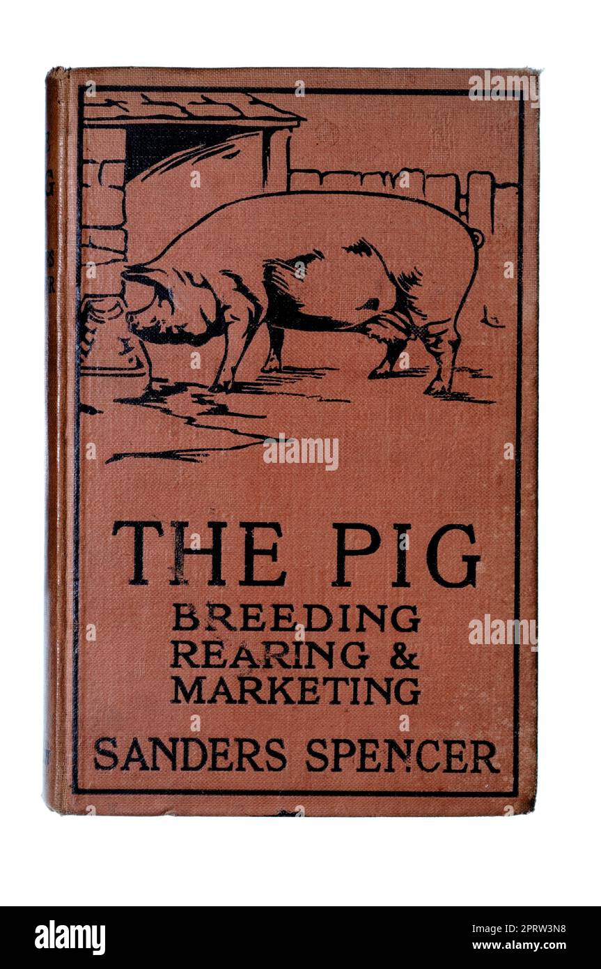 The Pig Breeding Rearing & Marketing by Sander Spencer Stock Photo - Alamy