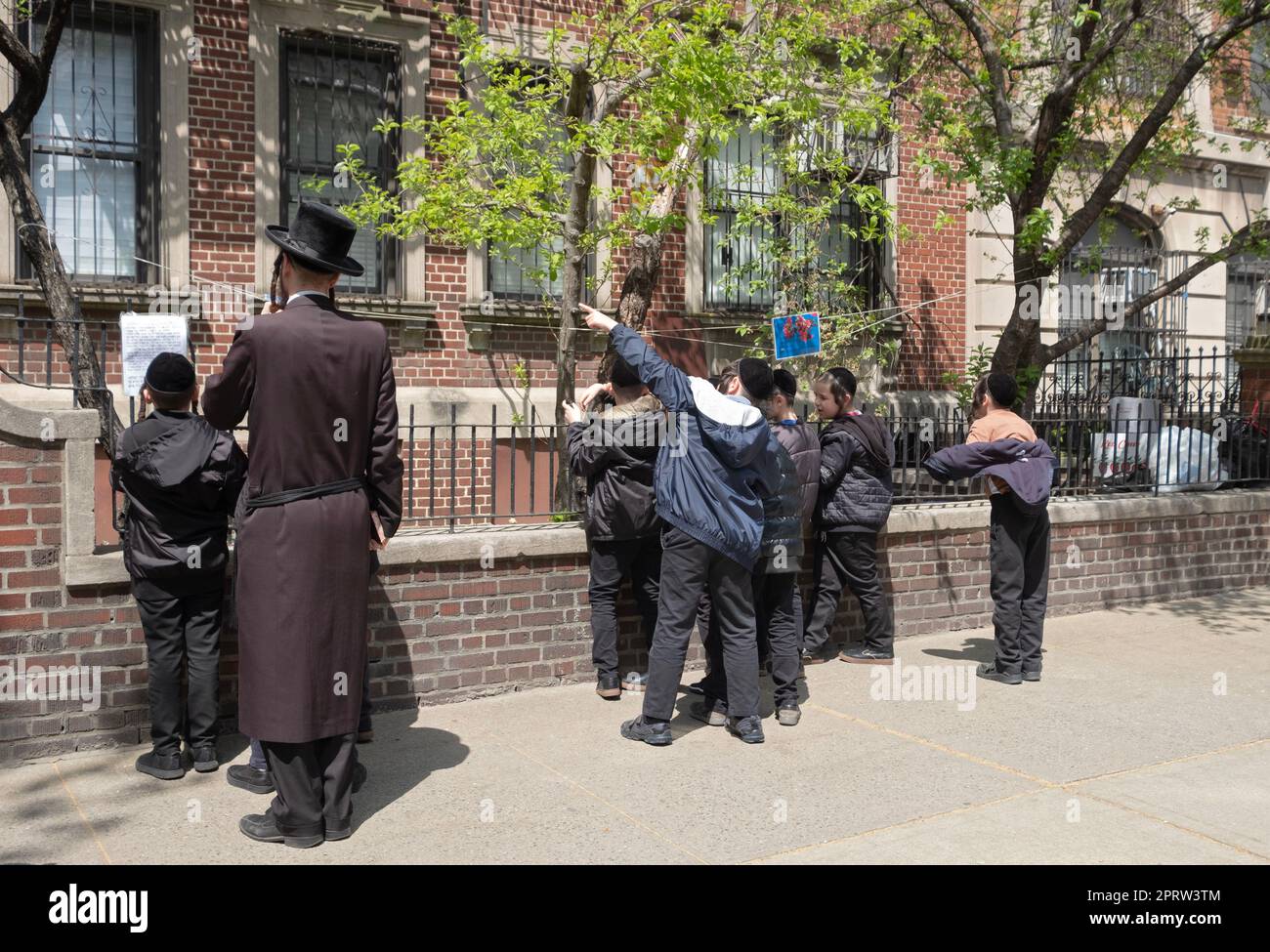 Jewish yeshiva students & their rabbi make a blessing for newly budding ...