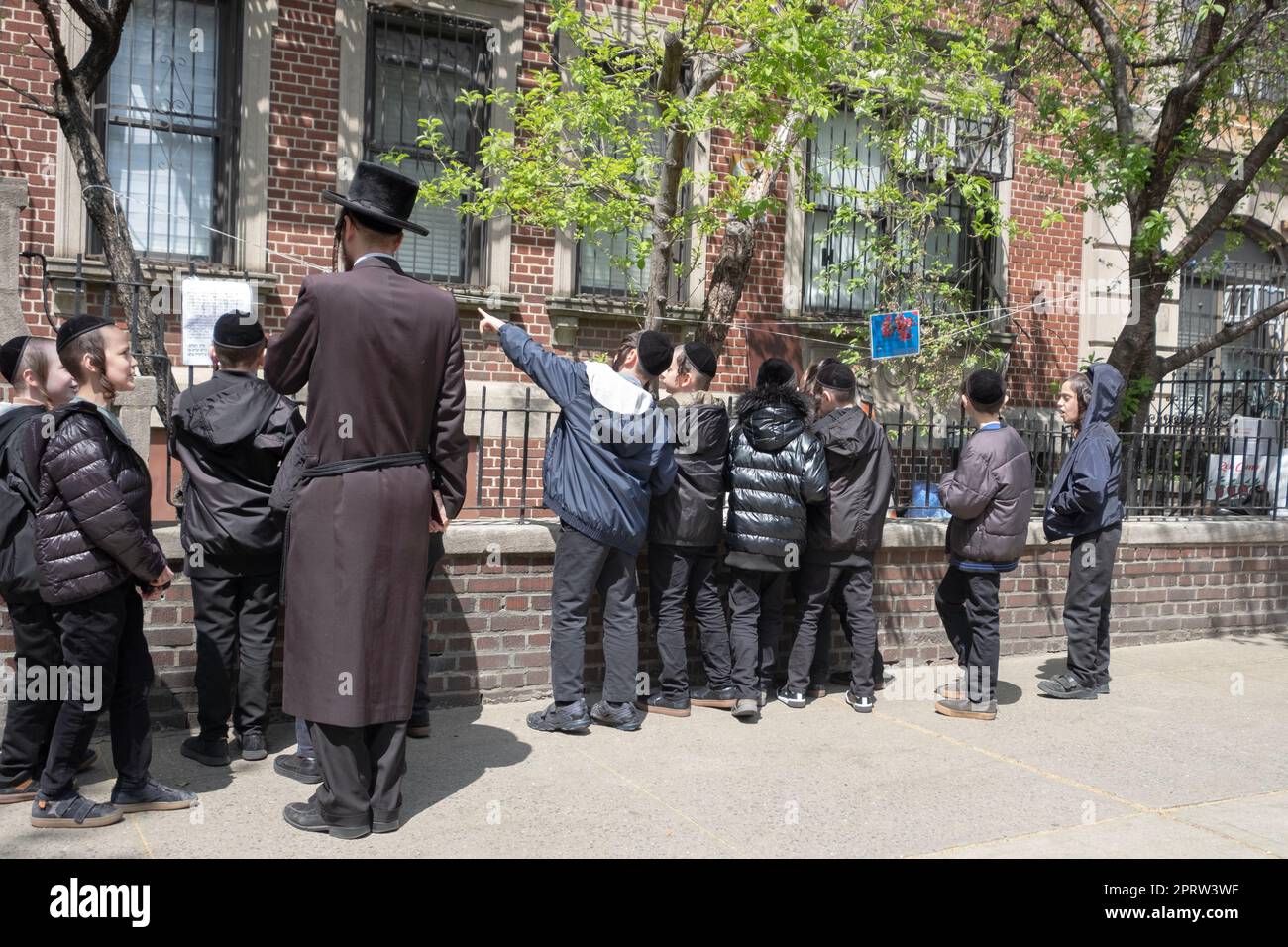 Jewish yeshiva students & their rabbi make a blessing for newly budding ...