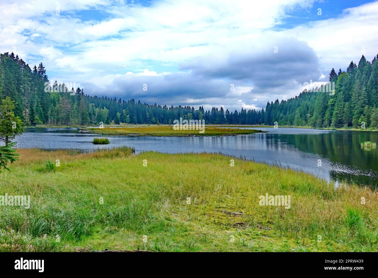 Europa, Germany, Bavaria, Lower Bavaria, Bavarian forest, Landkreis ...