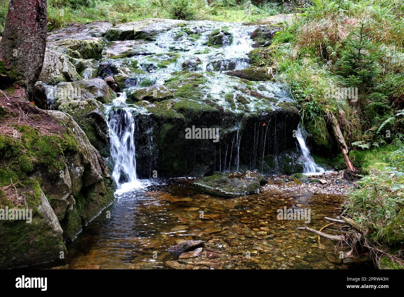 mountain stream, clean water, Drinking water Stock Photo - Alamy