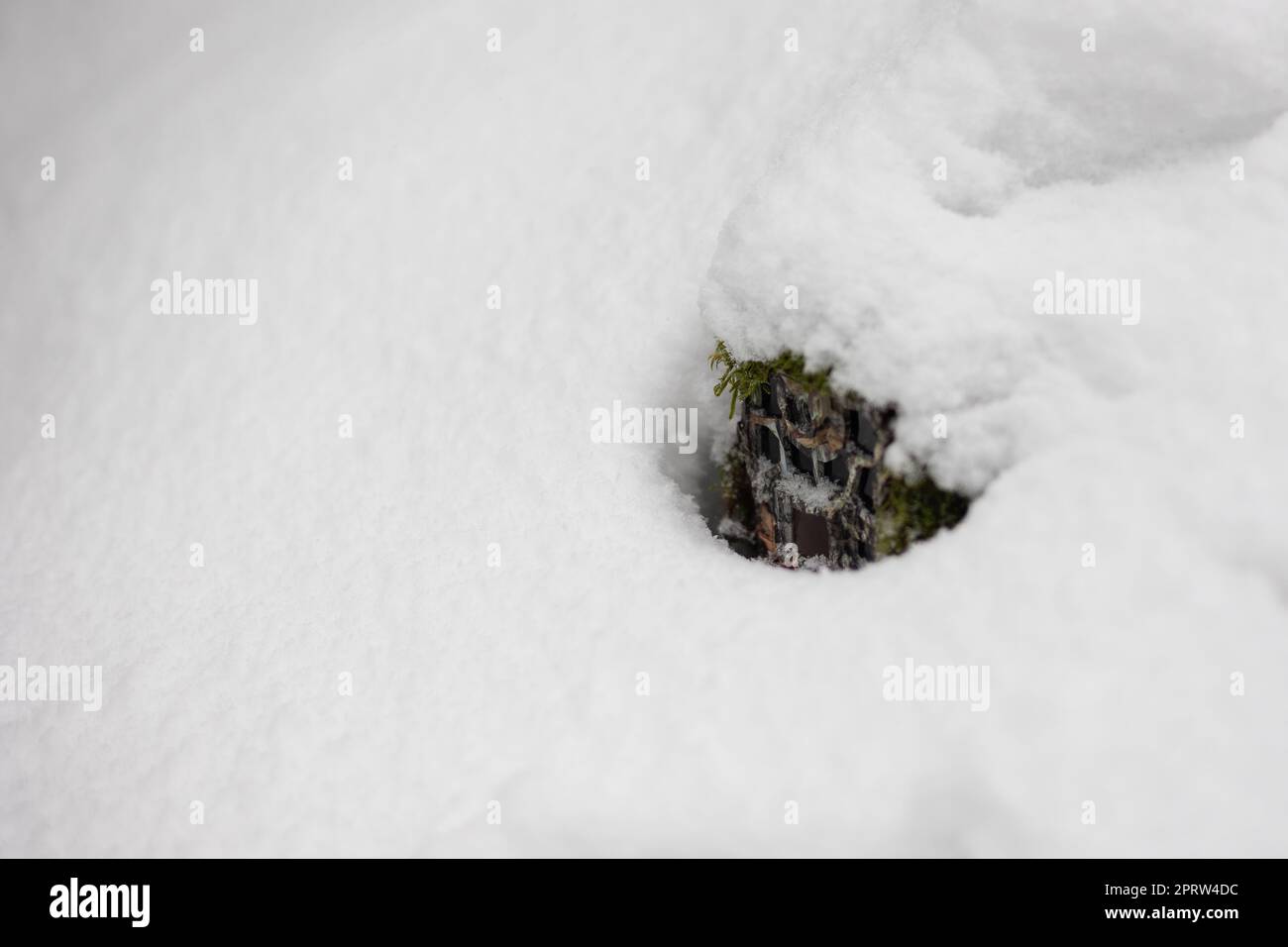 Hidden camera detector hi-res stock photography and images - Alamy